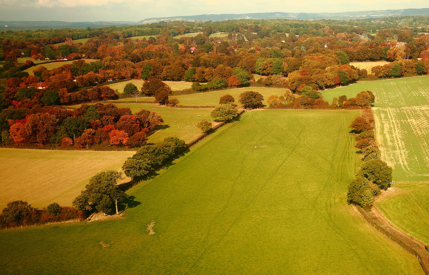 Land Owners - Harris & Company